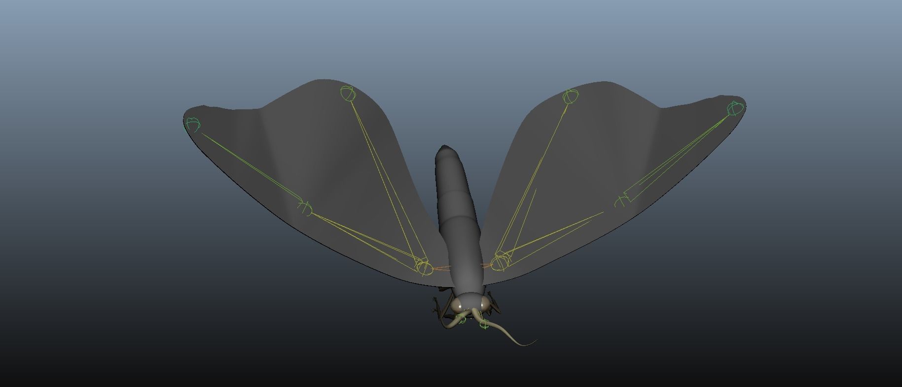 Moth Insect 3D model animated rigged | CGTrader