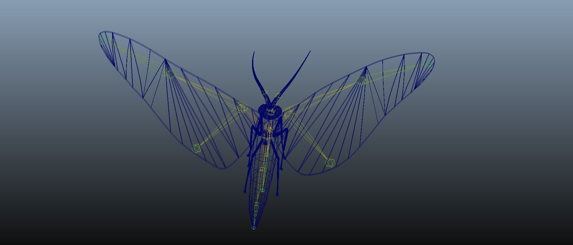Moth Insect 3D model animated rigged | CGTrader