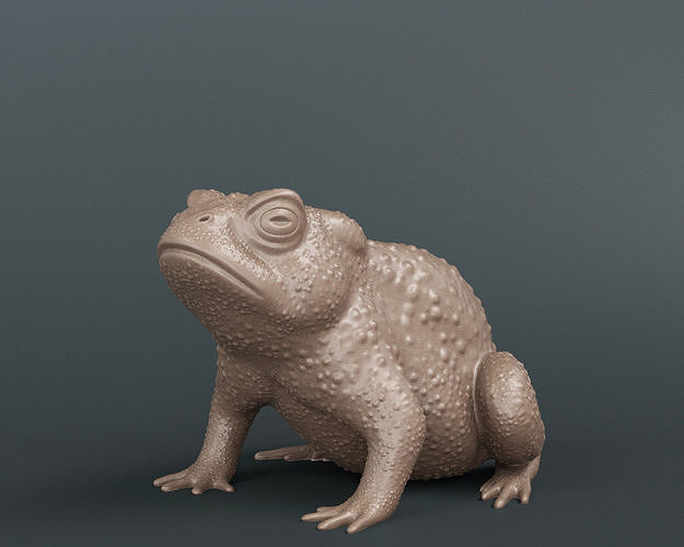Toad Frog 3D model 3D printable | CGTrader