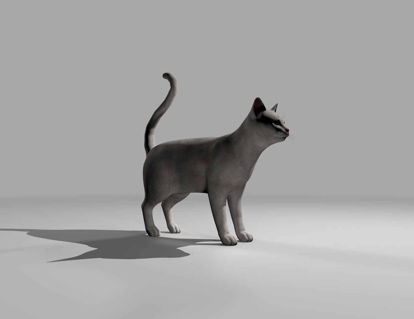 3D model White Cat Rigged VR / AR / low-poly | CGTrader