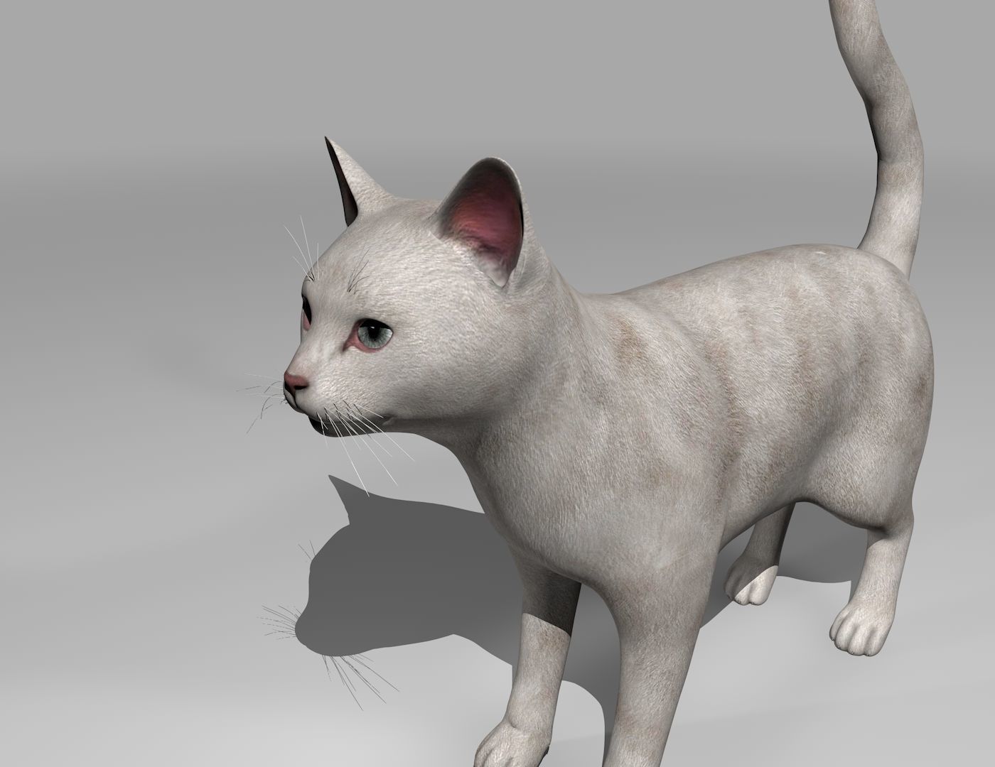 3D model White Cat Rigged VR / AR / low-poly | CGTrader