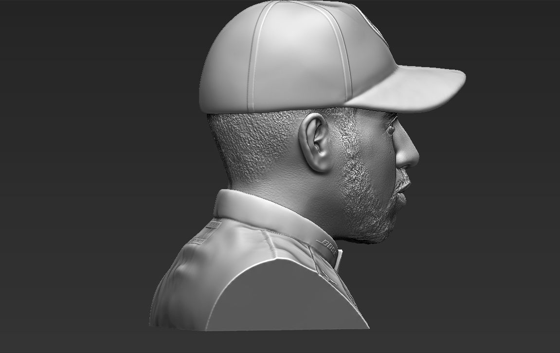 Lewis Hamilton bust ready for full color 3D printing 3D model 3D ...