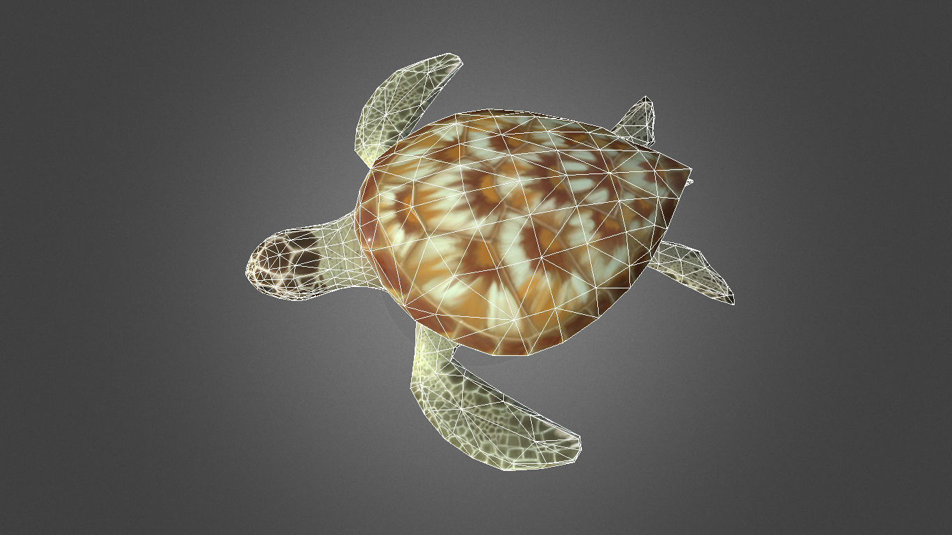 3D model Low Poly Green Sea Turtle - Idle Animated VR / AR / low-poly ...