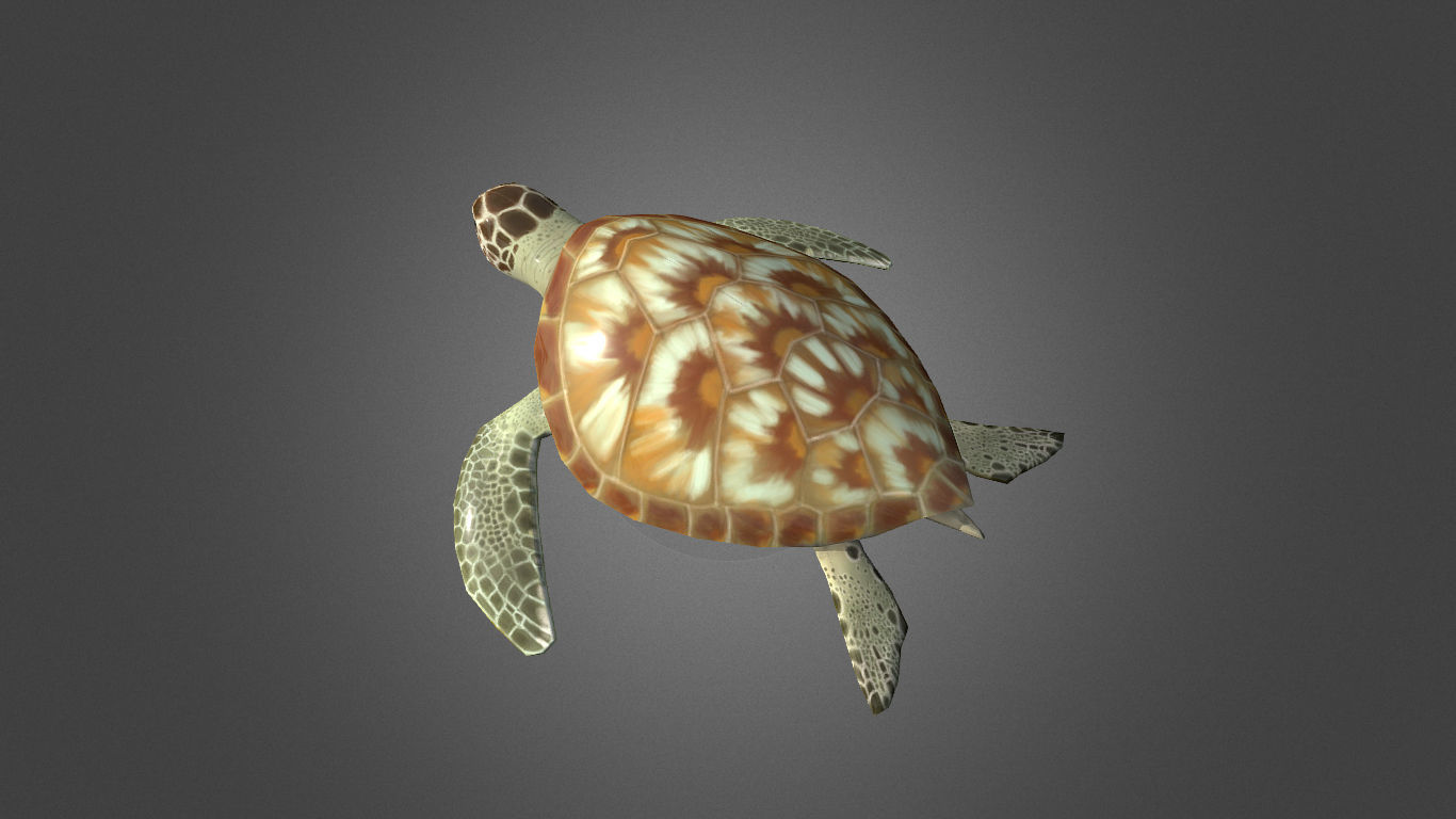 3D model Low Poly Green Sea Turtle - Idle Animated VR / AR / low-poly ...
