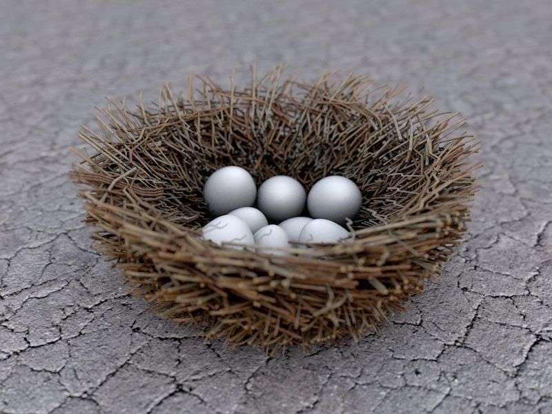 3D model Bird Nest with eggs | CGTrader