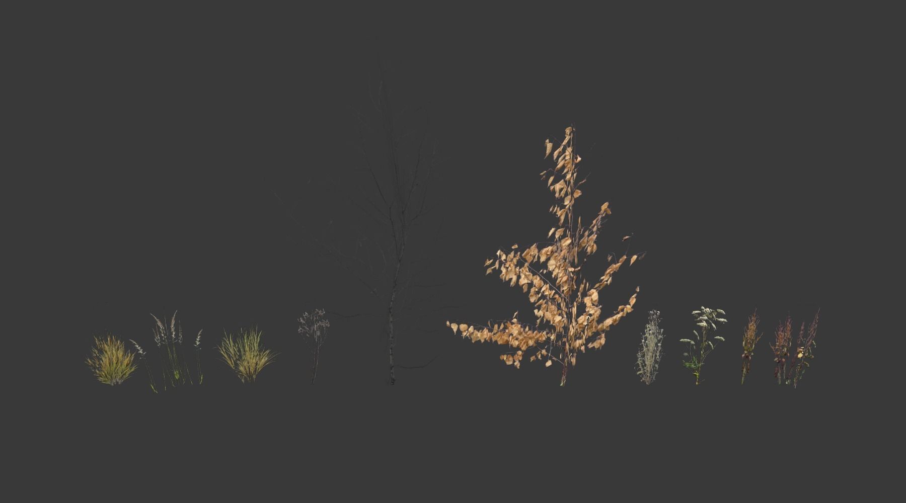 Dried vegetation set free VR / AR / low-poly 3D model | CGTrader