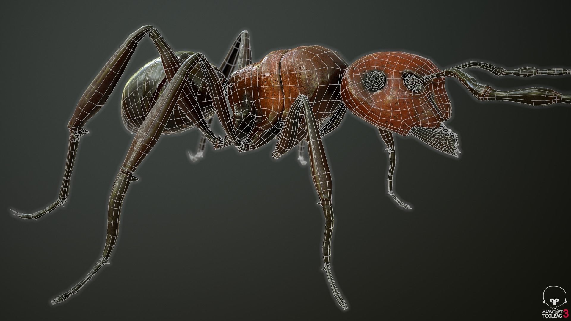 3D model Red Ant Low Poly 3d model VR / AR / low-poly rigged | CGTrader