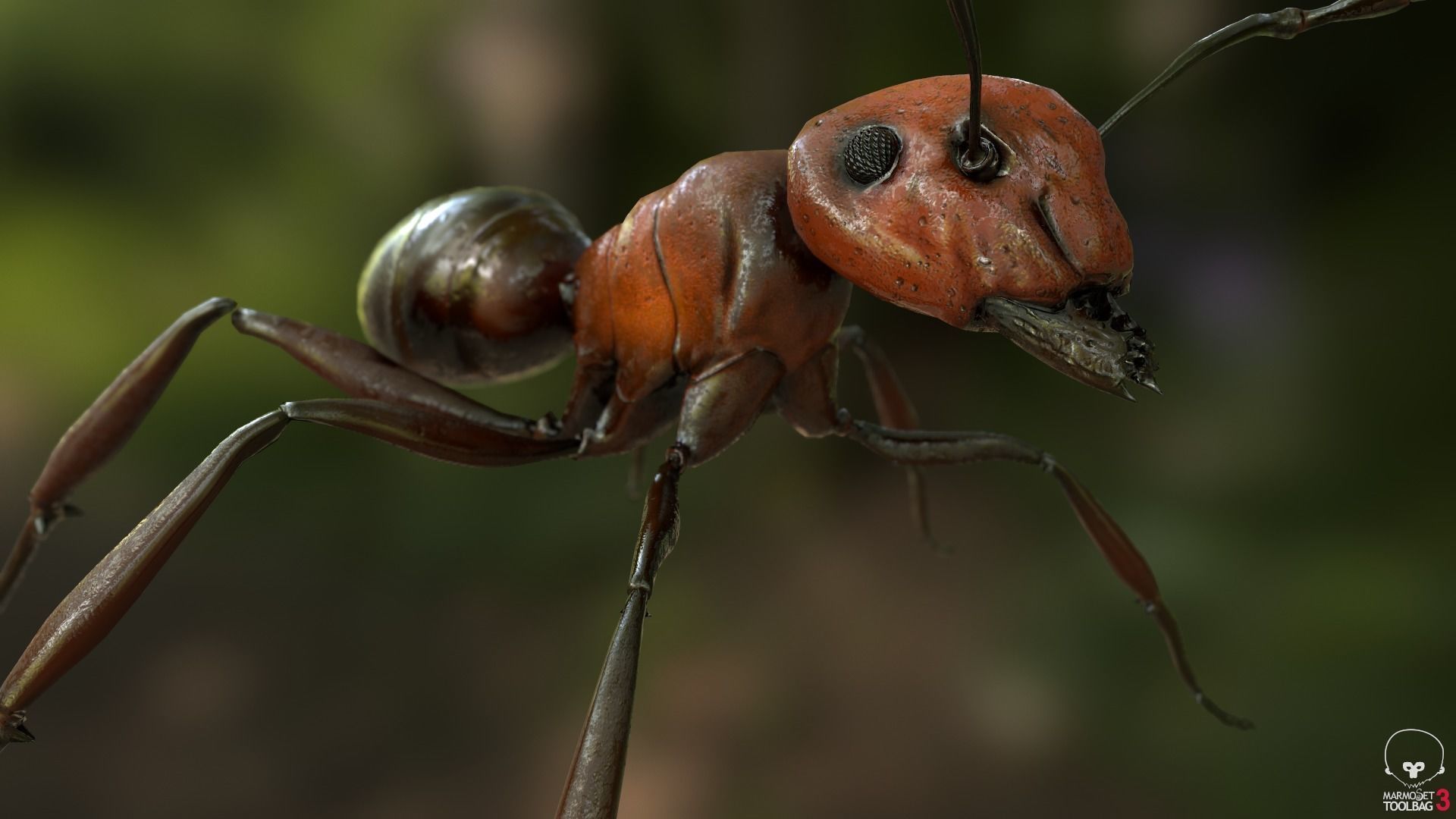 3D model Red Ant Low Poly 3d model VR / AR / low-poly rigged | CGTrader