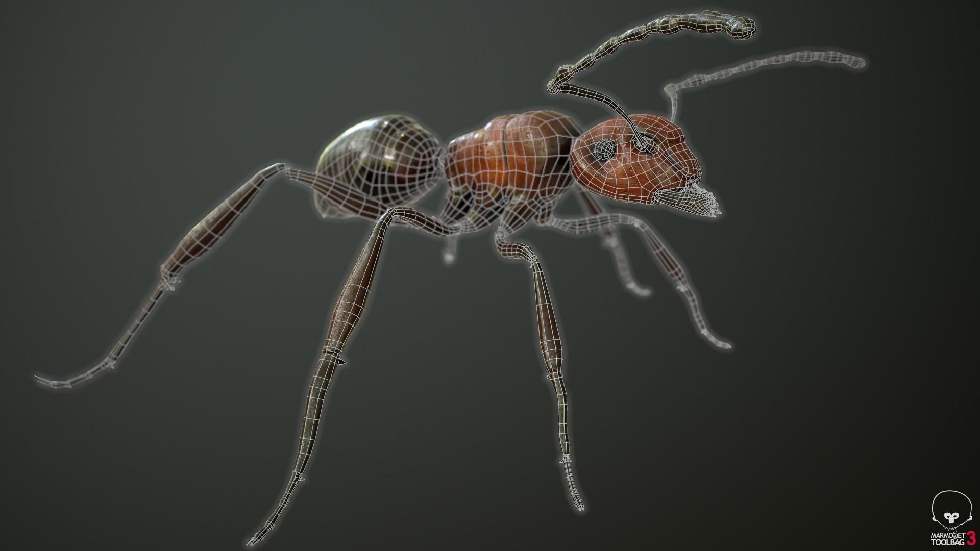 3D model Red Ant Low Poly 3d model VR / AR / low-poly rigged | CGTrader