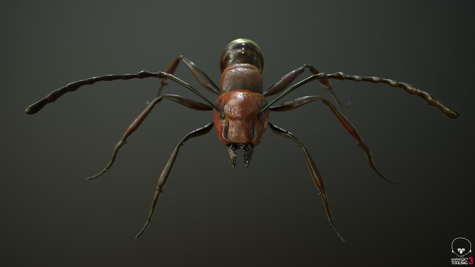 3D model Red Ant Low Poly 3d model VR / AR / low-poly rigged | CGTrader