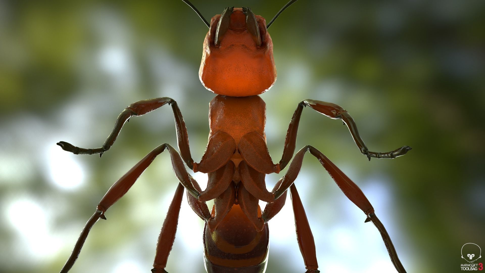 3D model Red Ant Low Poly 3d model VR / AR / low-poly rigged | CGTrader