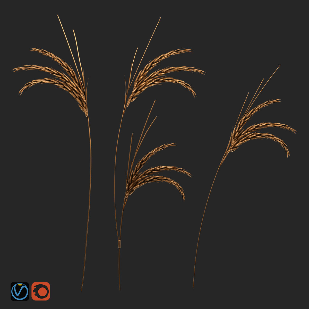 NAGA decor wheat set 3D model | CGTrader