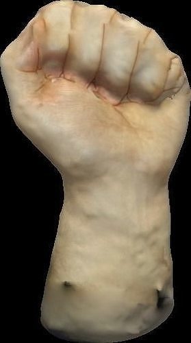 PBR Pickled Human Hand 3D model | CGTrader