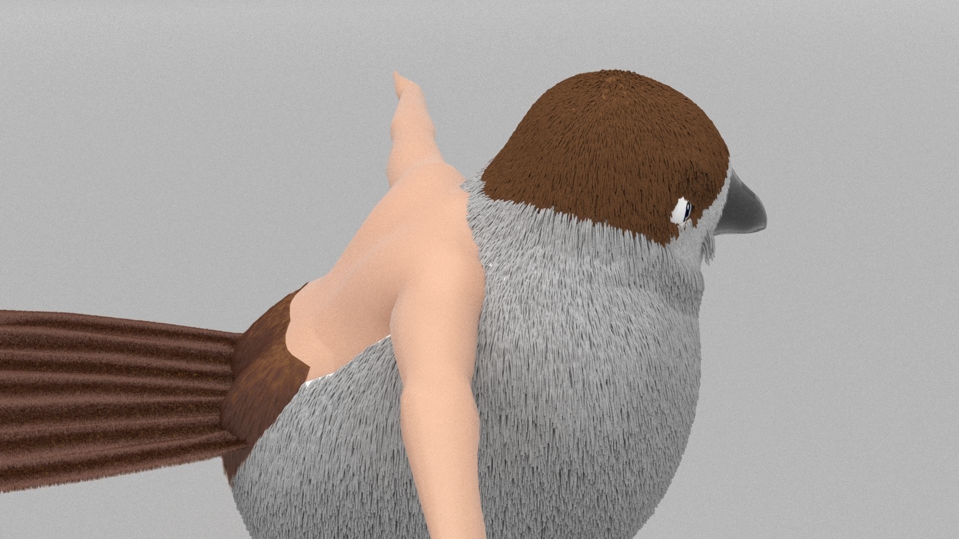 SPARROW-MAN cartoon bird free VR / AR / low-poly 3D model | CGTrader