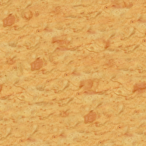 Fried Batter Texture free 3D model | CGTrader