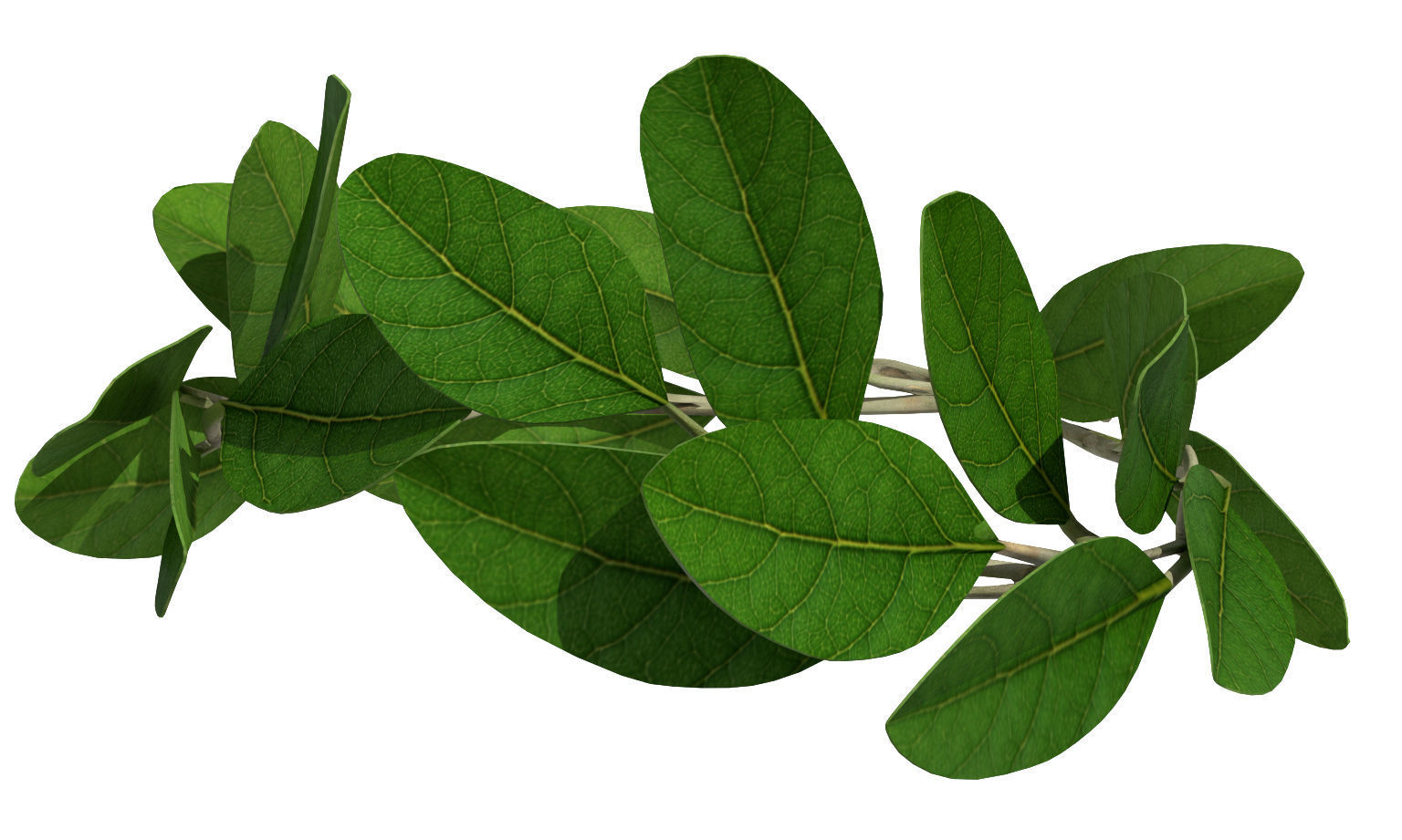 3D model Laurel Wreath VR / AR / low-poly | CGTrader