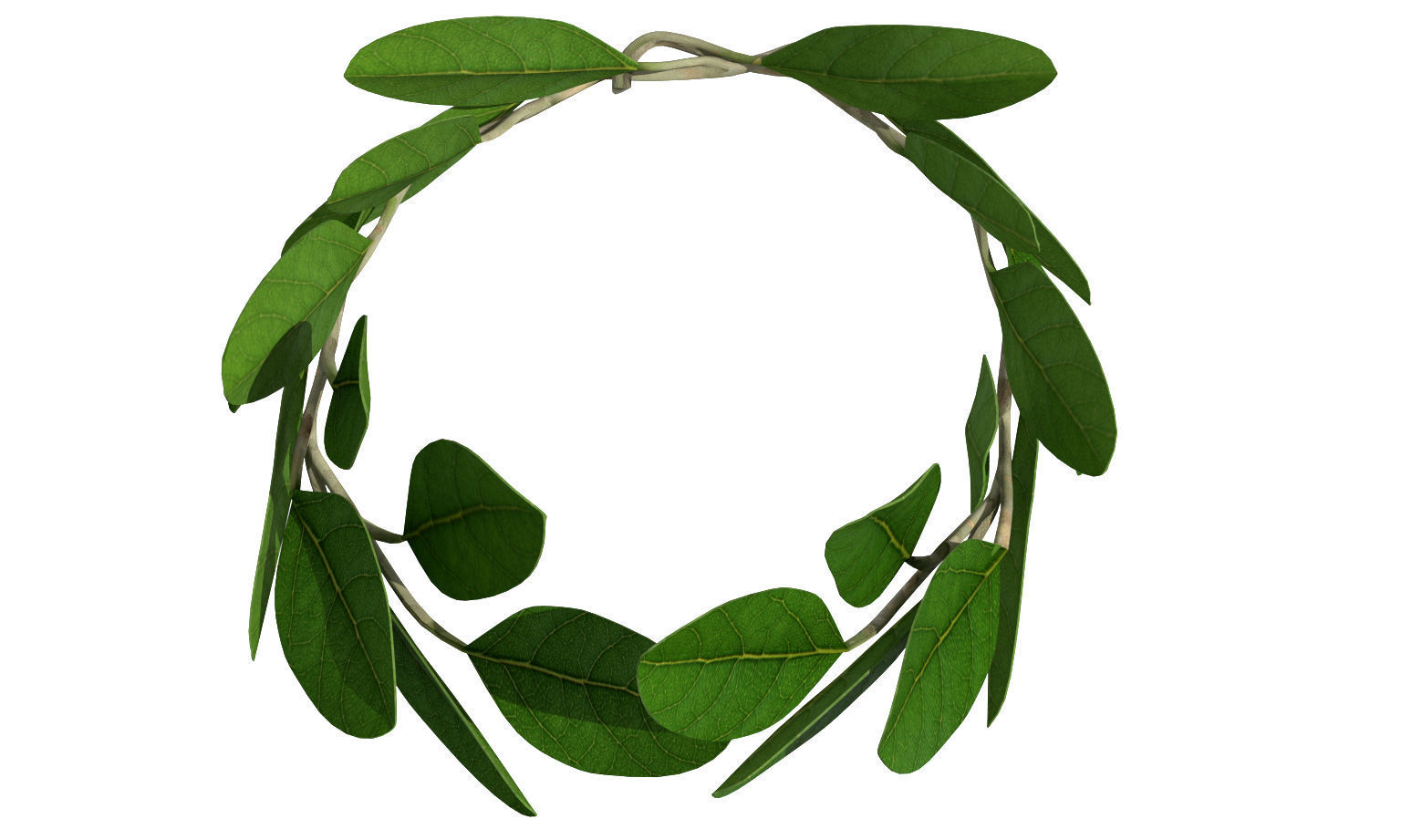 Laurel Wreath 3D model low-poly | CGTrader