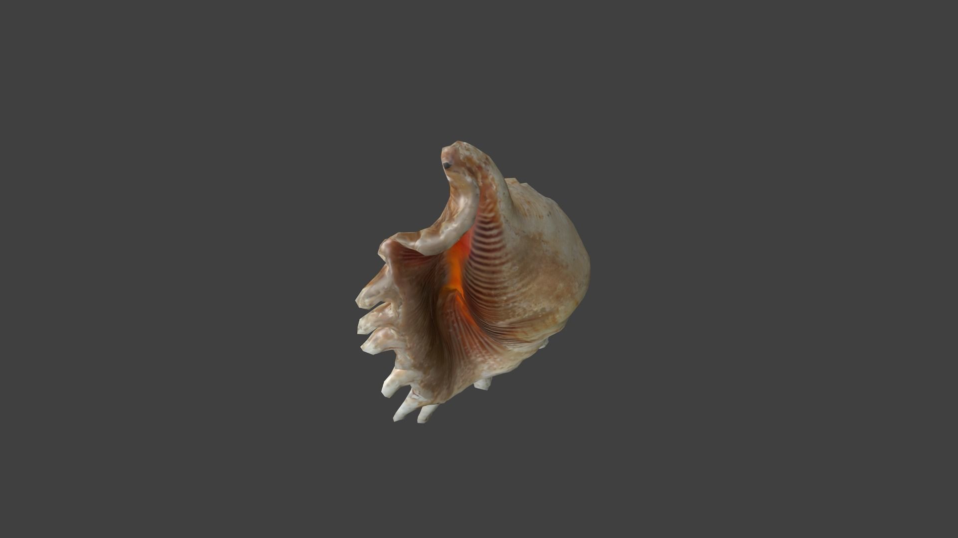 3D model Low Poly Murex Seashell VR / AR / low-poly | CGTrader