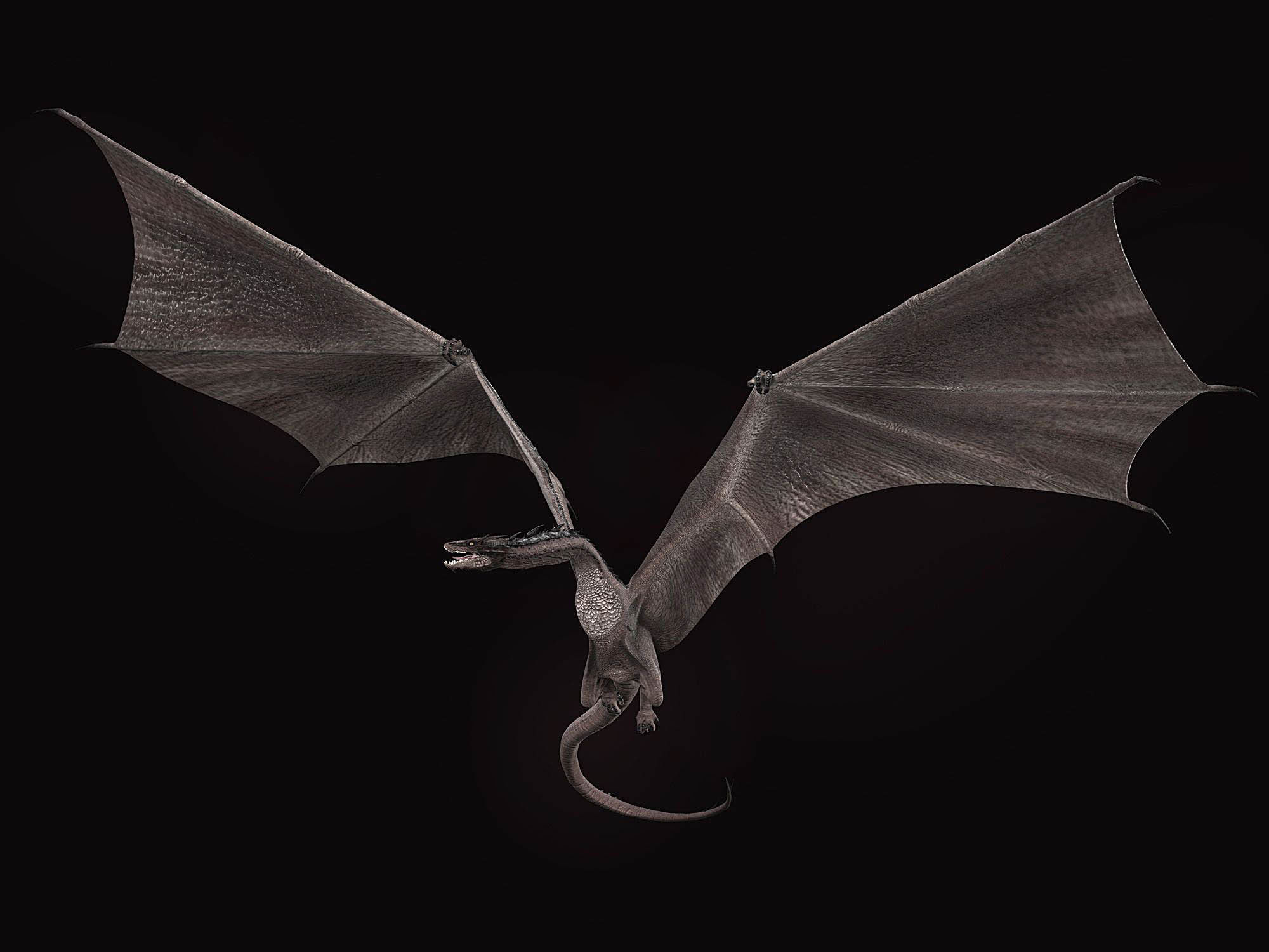 Smaug Hobbit Dragon 3D model rigged | CGTrader