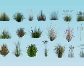 Grass 3D Models | CGTrader