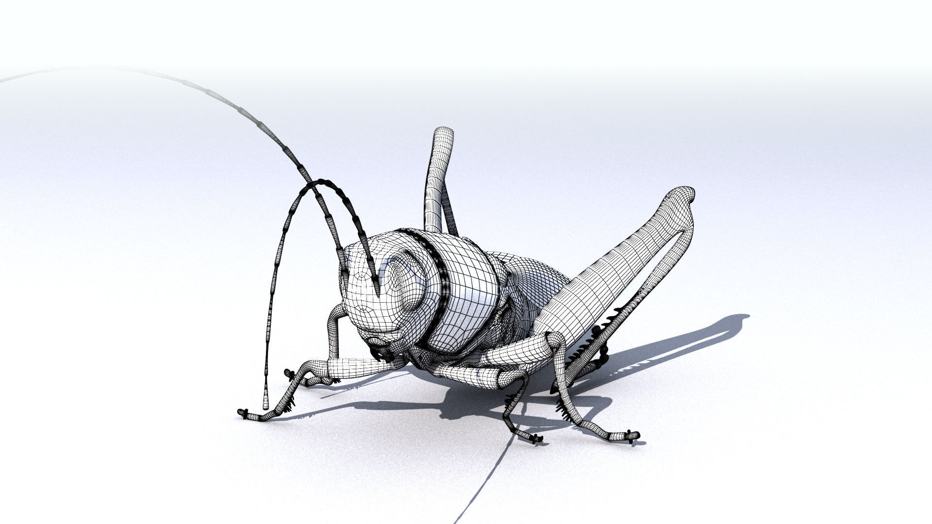 Grasshopper 3D model rigged | CGTrader