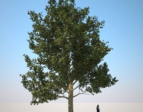 Planetree 3D Models | CGTrader