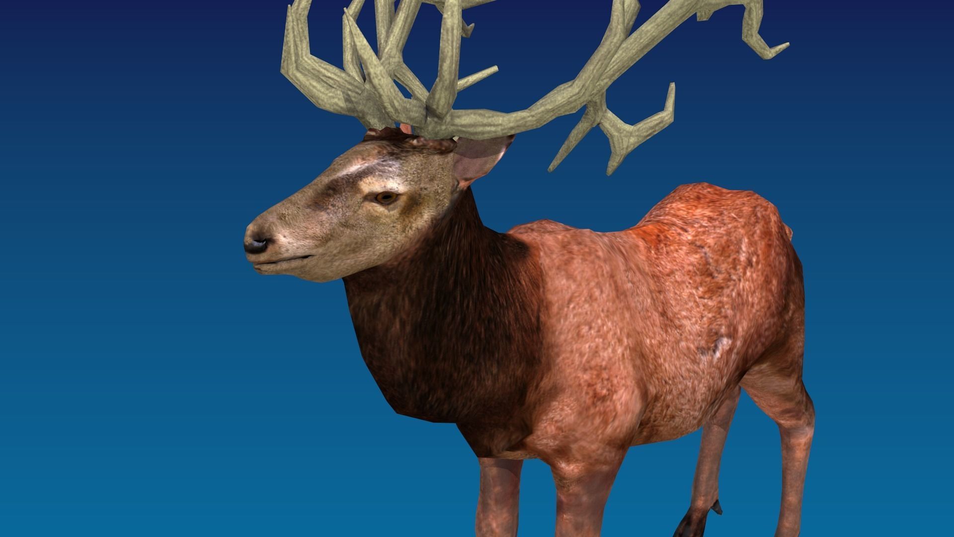 3D model Animated Deer | CGTrader