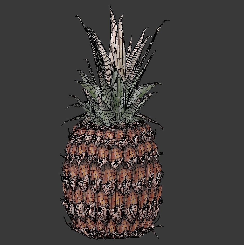 Realistic Pineapple 3D model | CGTrader