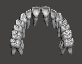 Teeth 3D Models | CGTrader