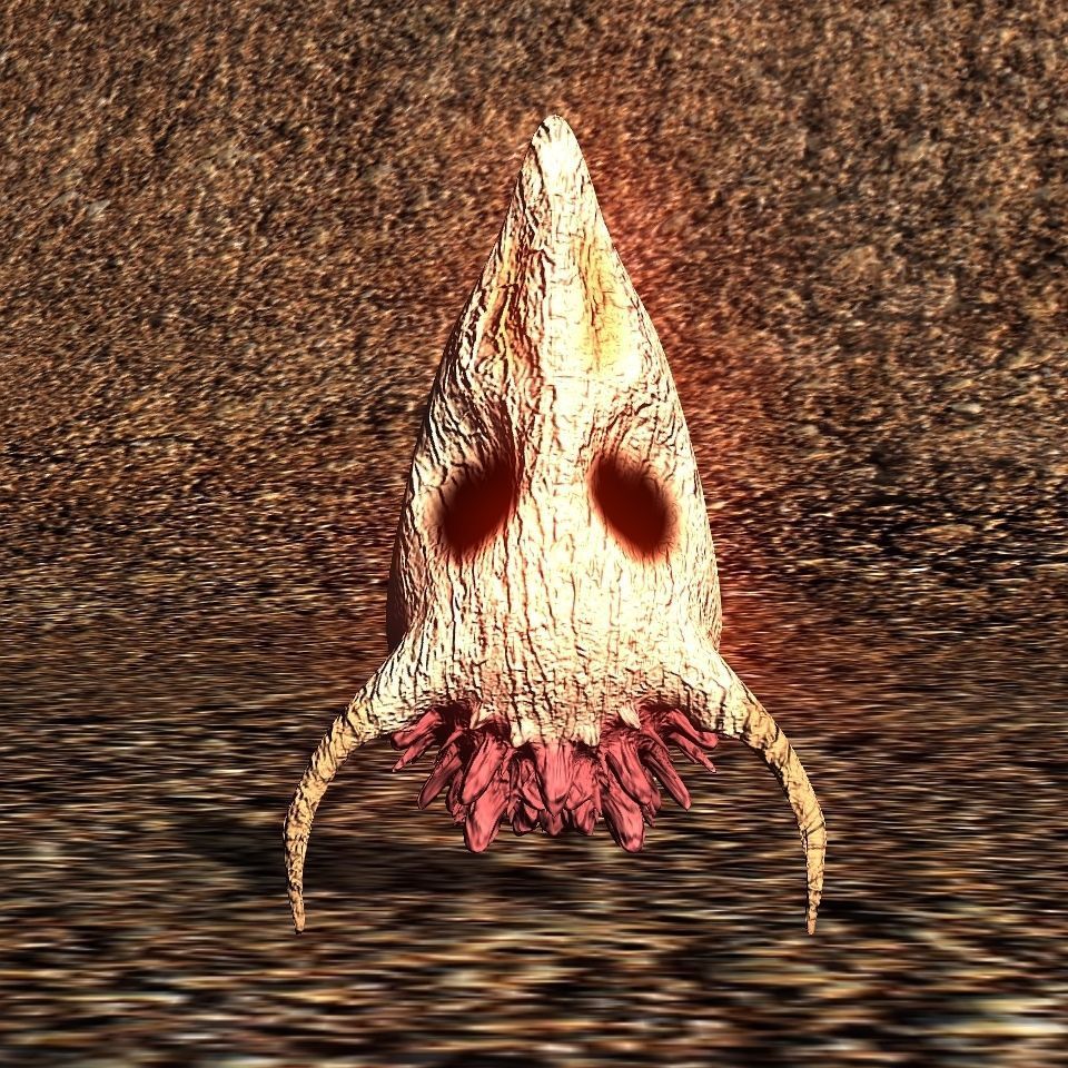 3D model Beak Ox Skull VR / AR / low-poly | CGTrader