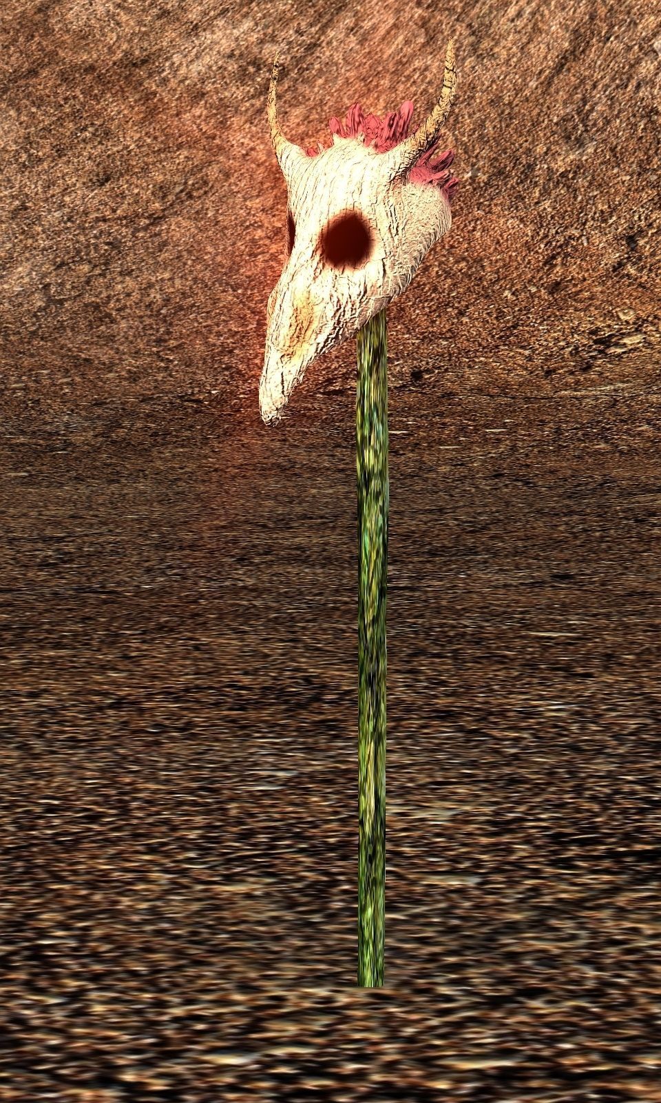 3D model Beak Ox Skull VR / AR / low-poly | CGTrader