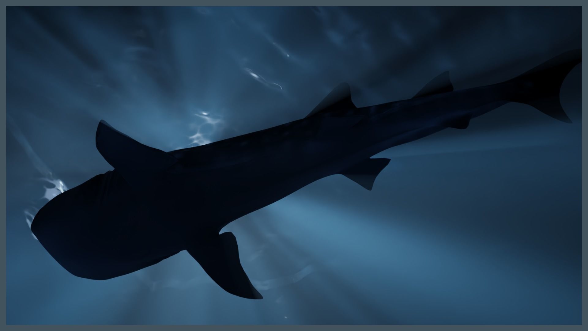 3D model Deep Ocean Environment VR / AR / low-poly | CGTrader