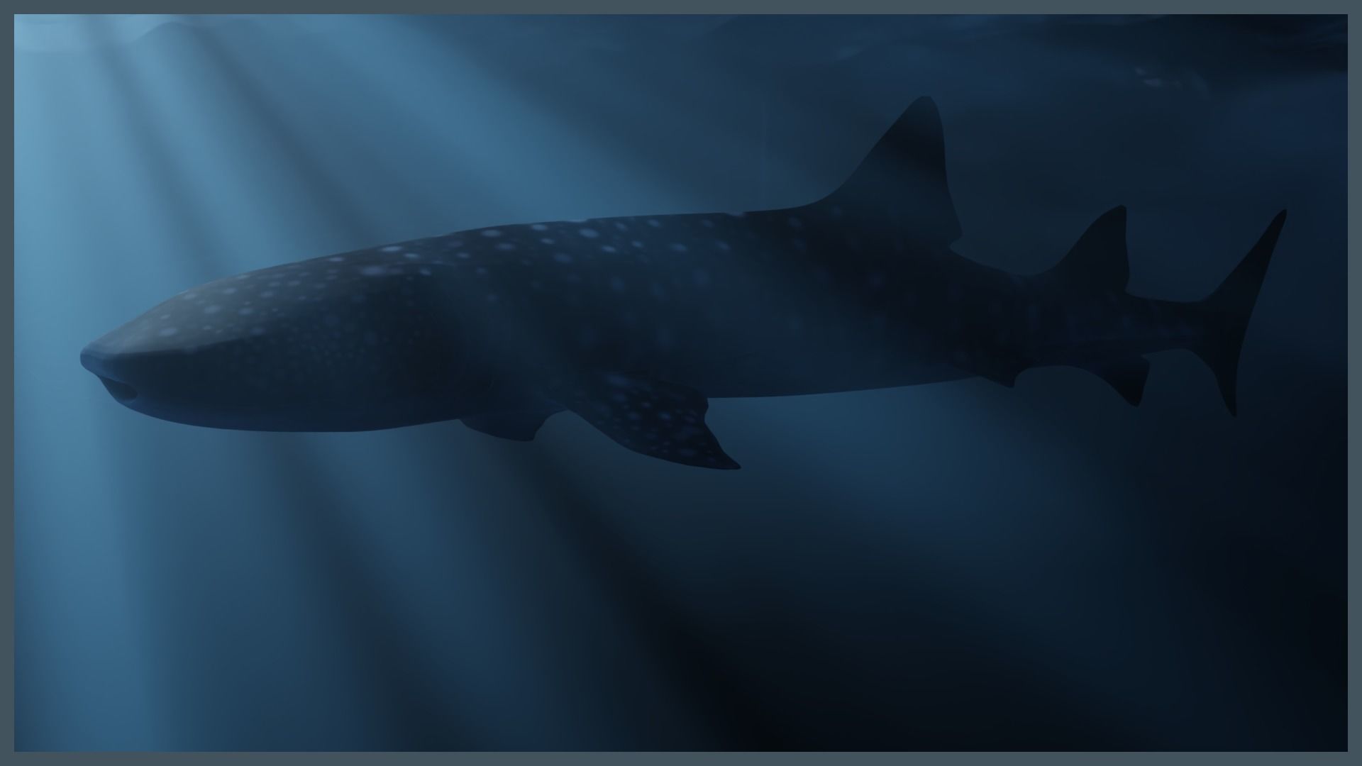 3D model Deep Ocean Environment VR / AR / low-poly | CGTrader