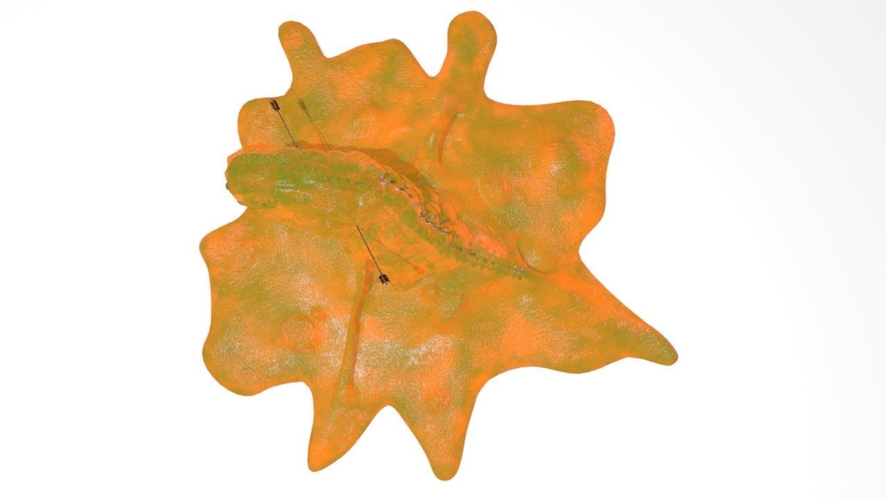 Slime skeleton 3D model rigged | CGTrader