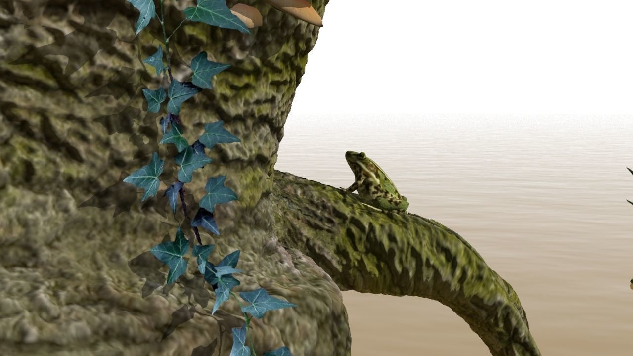 swamp assets 3D model | CGTrader