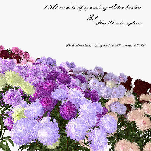 Flowers aster 3D model 3D model | CGTrader