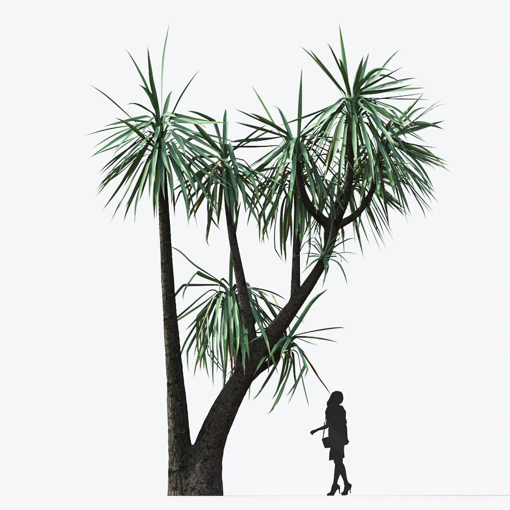 Tropical desert plant collection 3D model | CGTrader