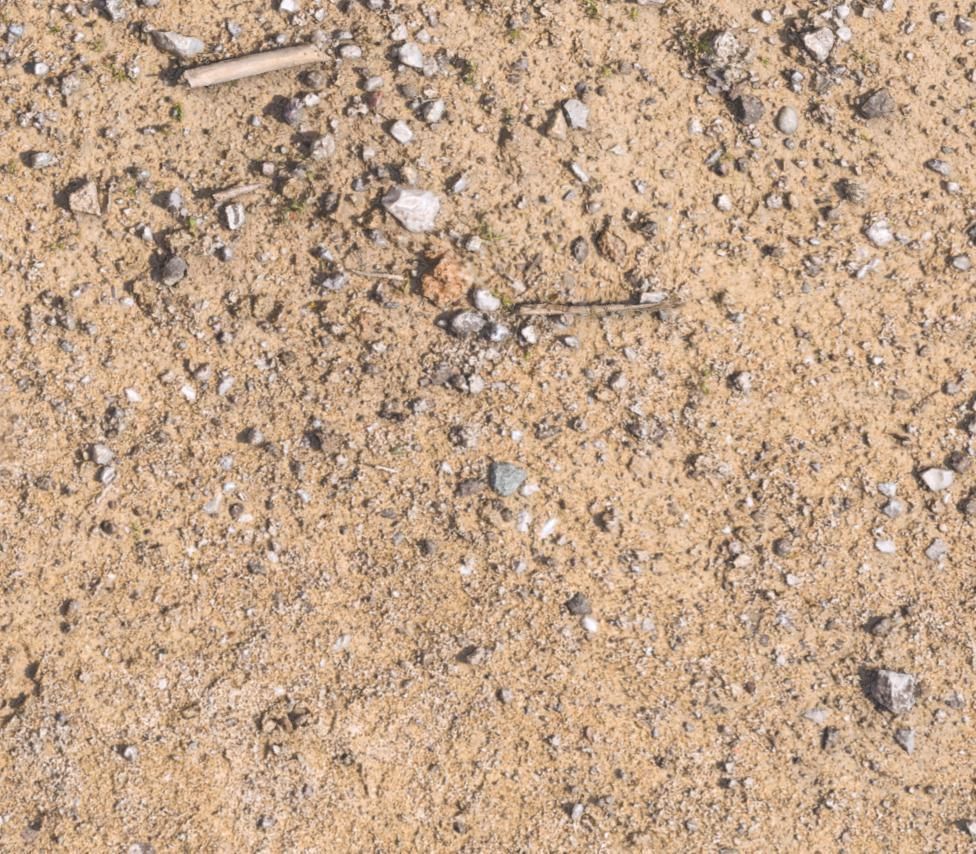 Dirt Road 3D model | CGTrader