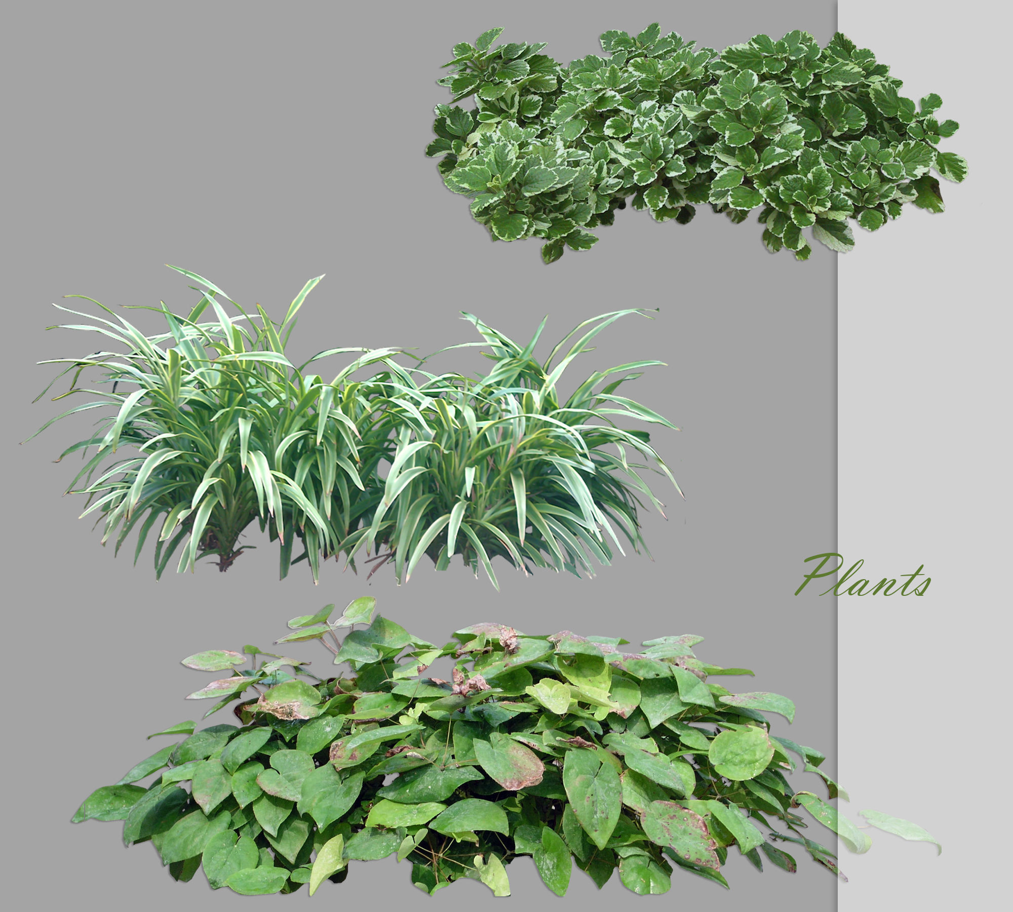 Set of textures for landscape design Texture | CGTrader