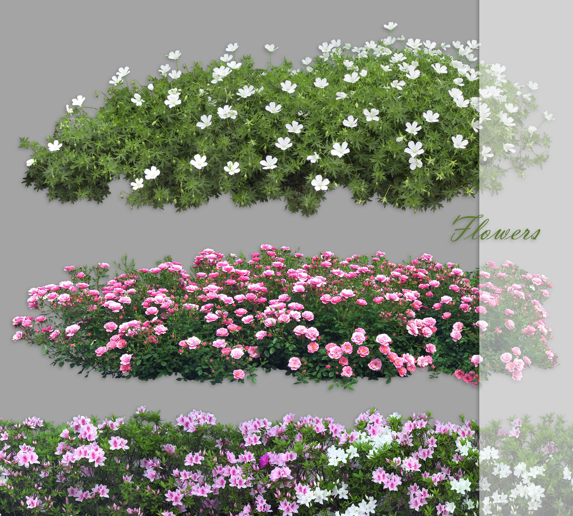 Set of textures for landscape design Texture | CGTrader