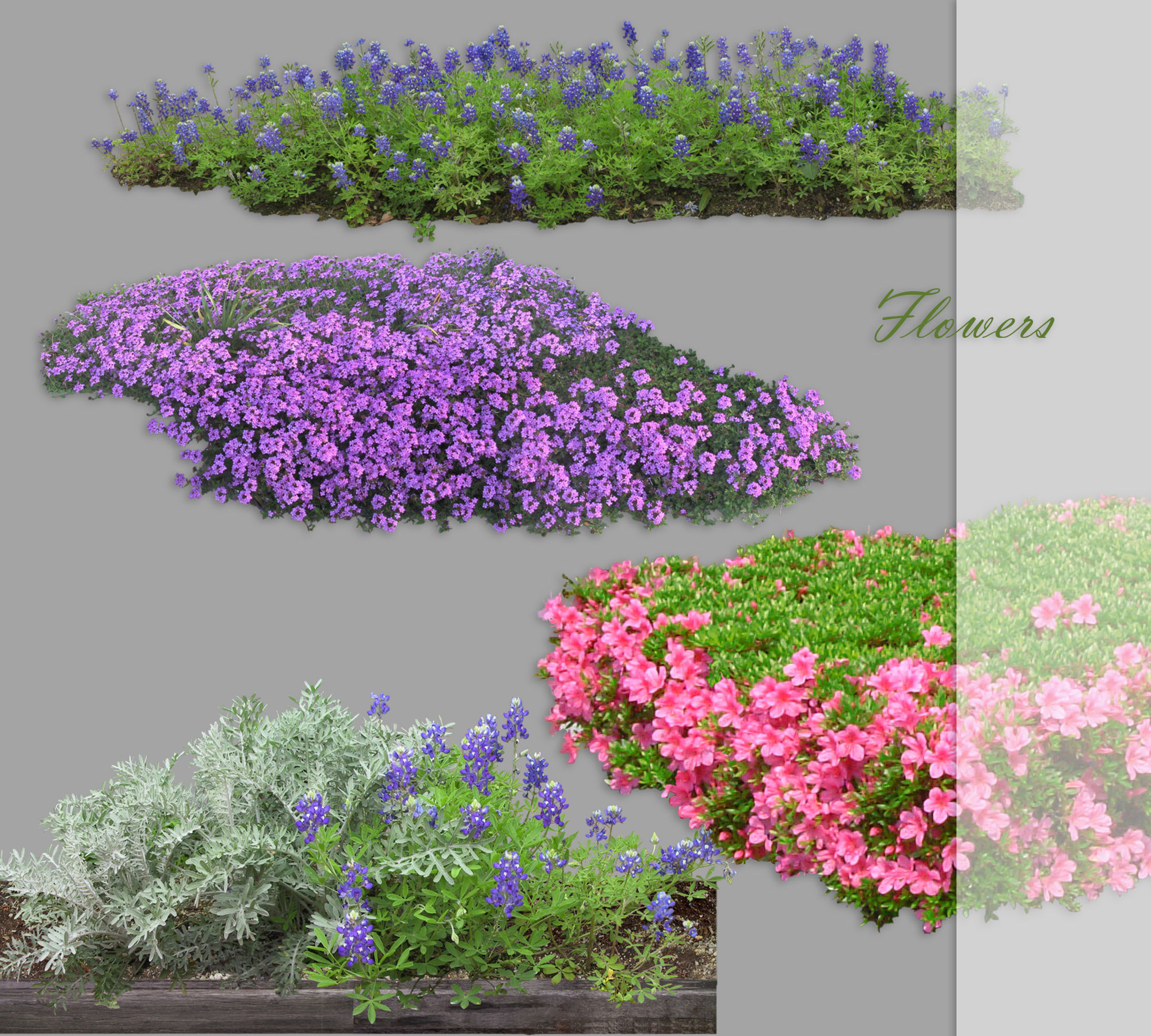 Set of textures for landscape design Texture | CGTrader