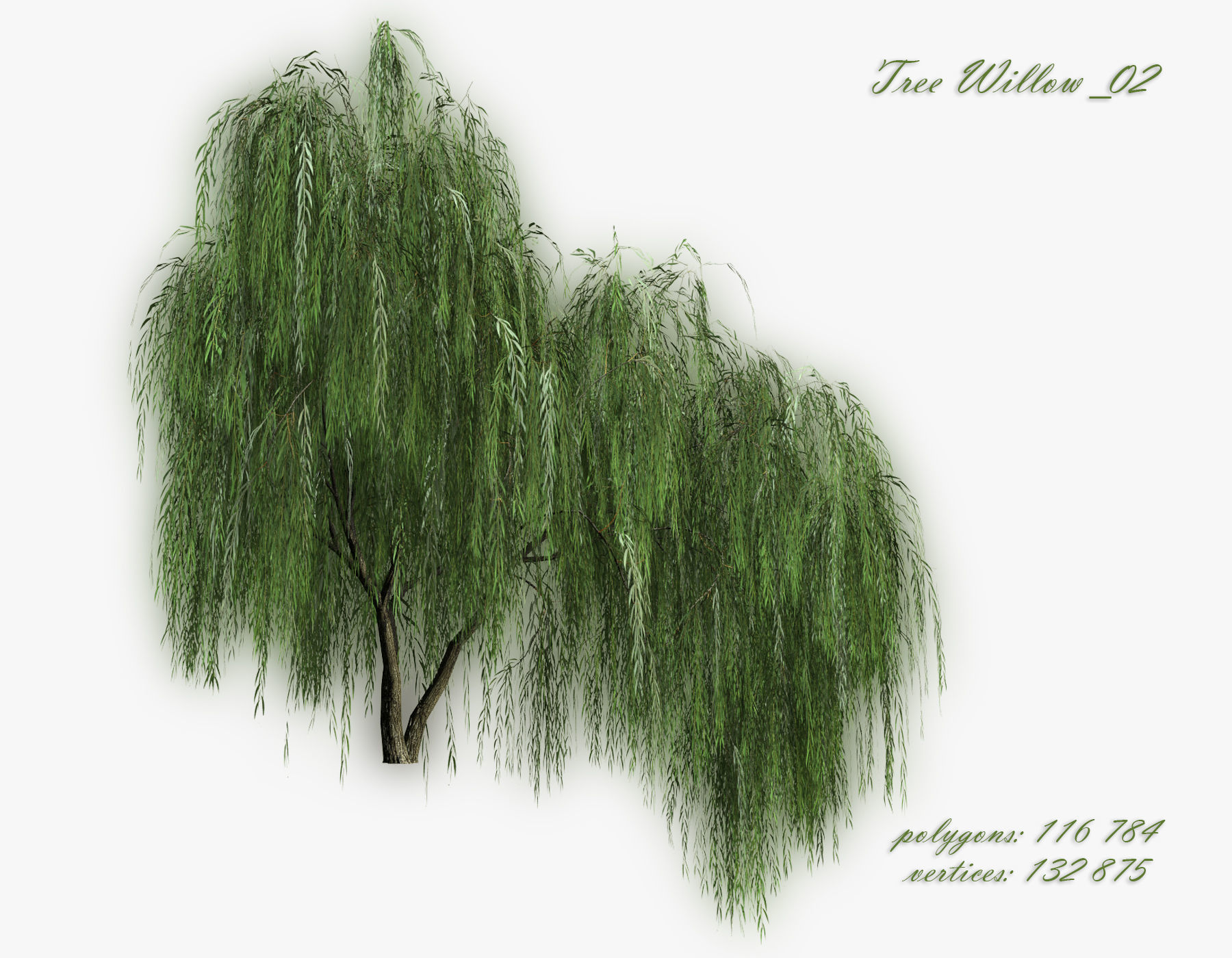 Set Tree Willow 3D model | CGTrader