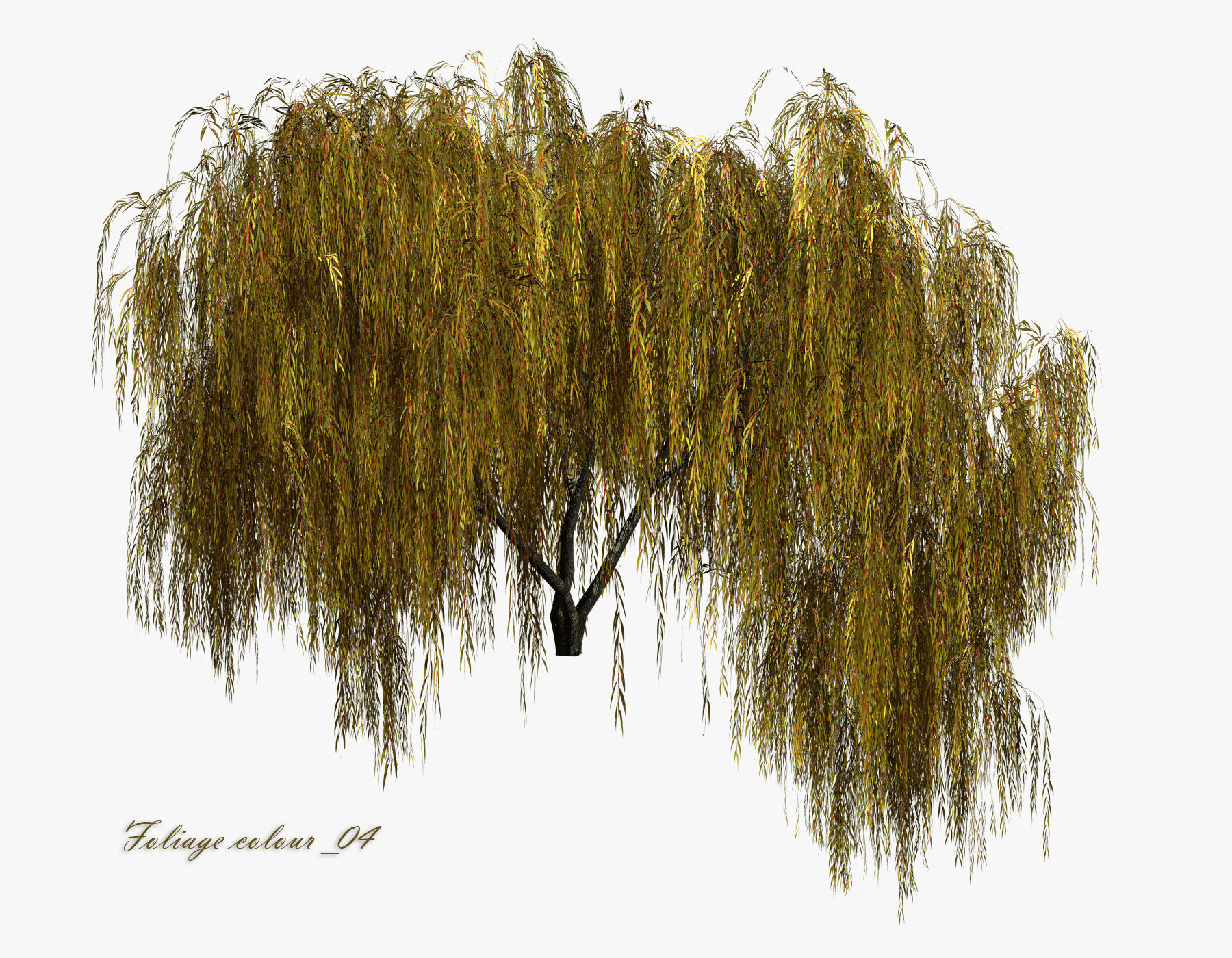 Set Tree Willow 3D model | CGTrader