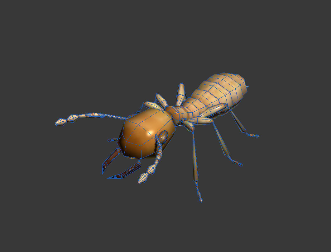 3D model rigged animated termite white ant VR / AR / low-poly | CGTrader