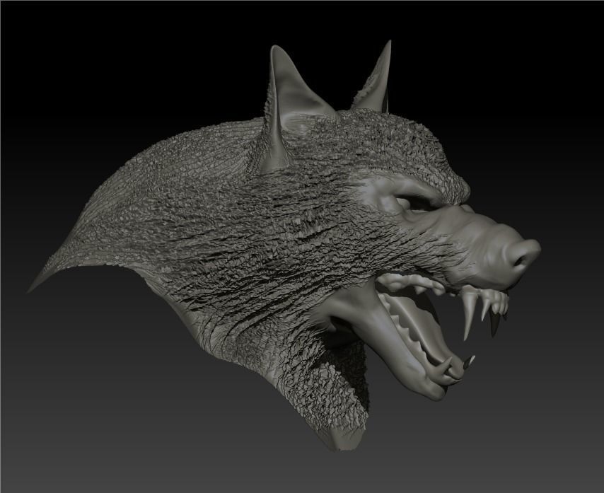 Werewolf zbrush High poly project 3D model | CGTrader