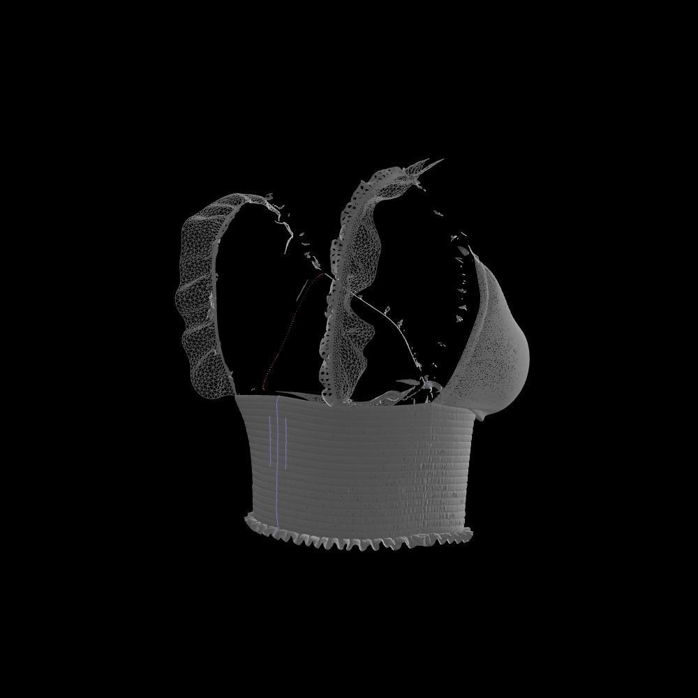 Womens Embroidered Ruffle Top with UV map 3D model | CGTrader