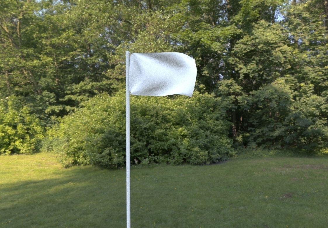 Waving Flag 3D model | CGTrader