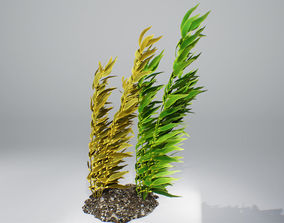 Kelp 3D Models | CGTrader