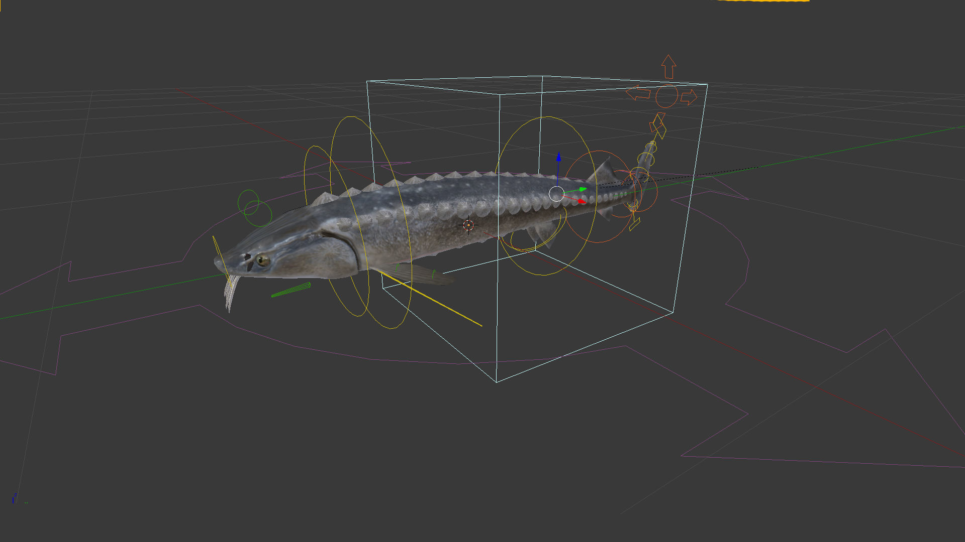 3D model 3d model Russian sturgeon VR / AR / low-poly rigged animated ...