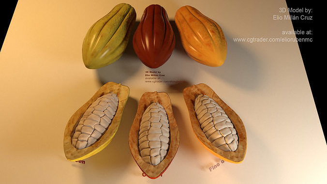 Cacao Fruit 3 colors 3D model | CGTrader